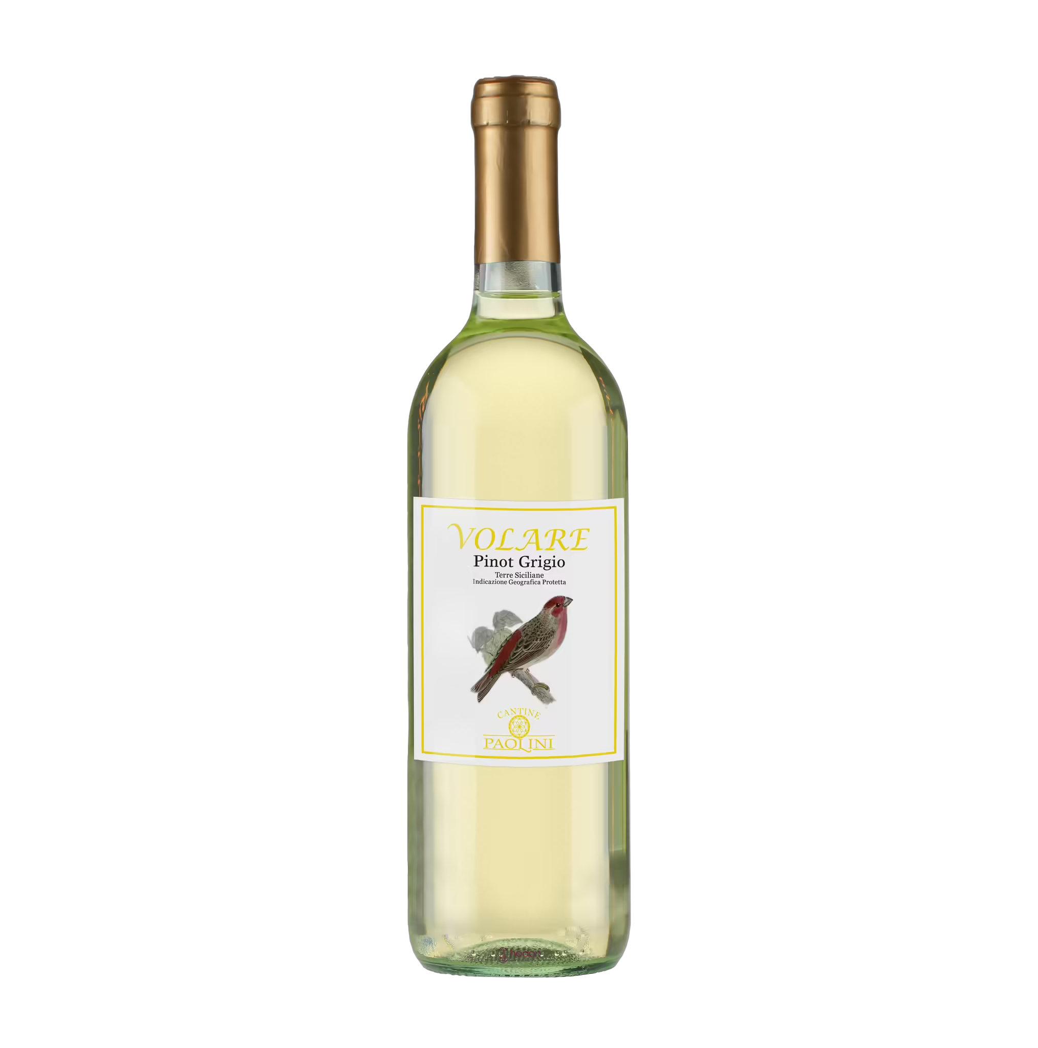 Paolini Volare Pinot Grigio Italian Wine – Golden Wine